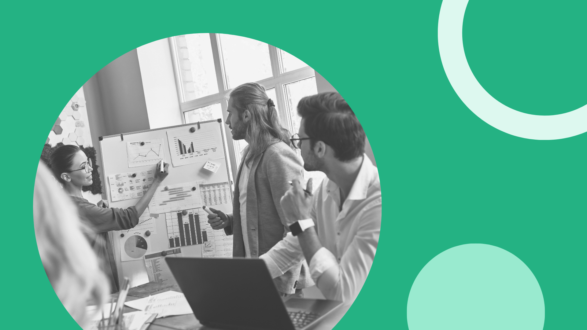 4 personality types at work – a practical guide - True Colors Consulting